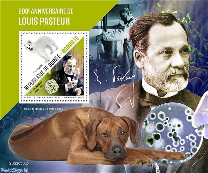 Stamp 2022, Guinea, Republic 200th anniversary of Louis Pasteur, 2022 ...