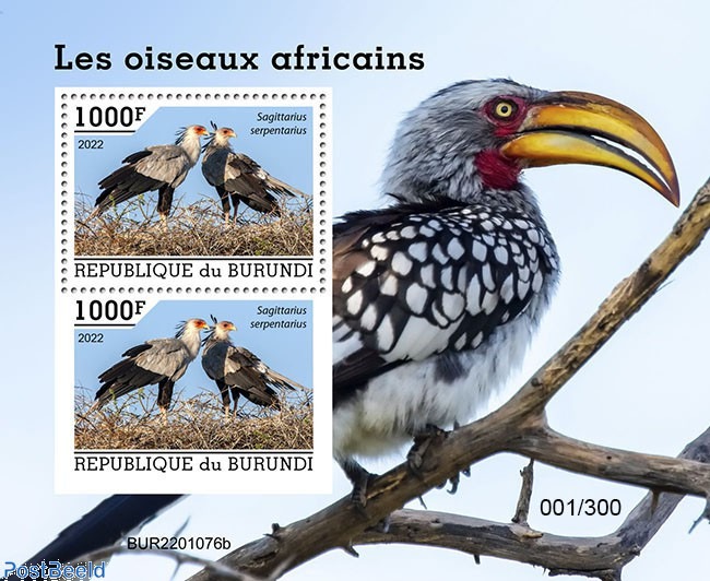 Stamp 2022, Burundi African birds, 2022 - Collecting Stamps - PostBeeld ...