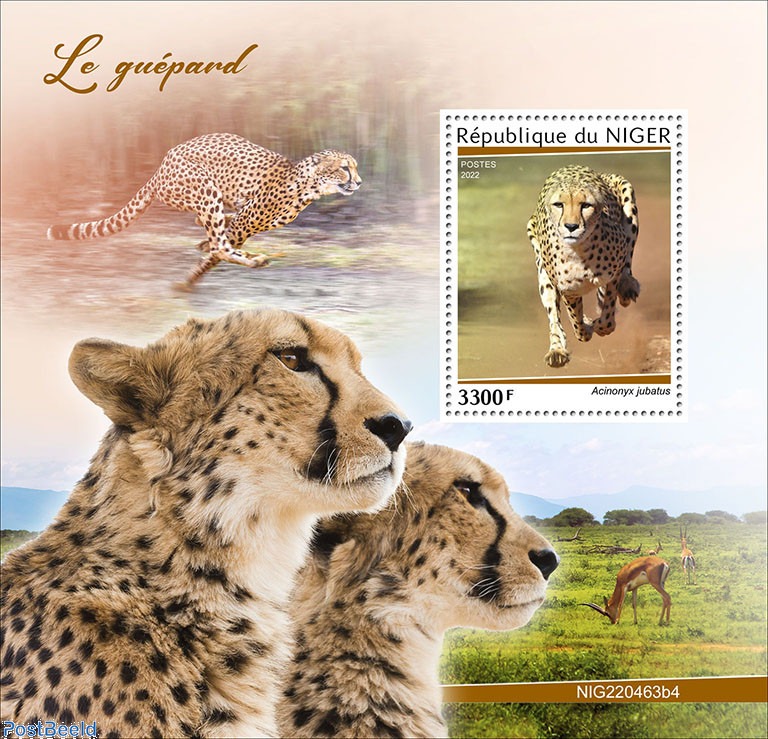 Stamp 2022, Niger Cheetah, 2022 - Collecting Stamps - PostBeeld ...