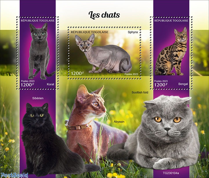 Stamp 2023, Togo Cats, 2023 - Collecting Stamps - PostBeeld - Online ...